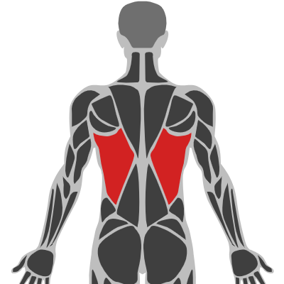 4 meilleurs exercices dorsaux sans matériel [VIDÉO] | Papa Muscle