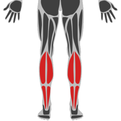 7 meilleurs exercices mollets avec barre de musculation [VIDÉO] | Papa ...