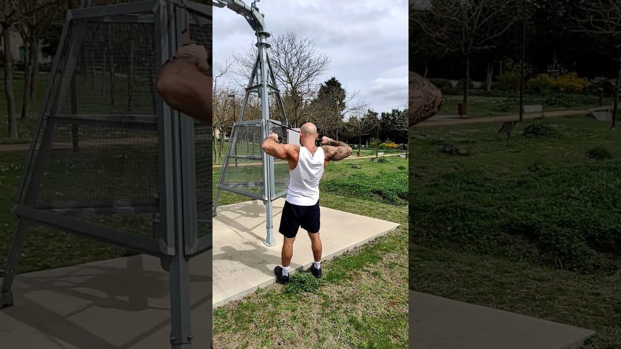 Exercices épaules arrière (deltoïde postérieur) | Papa Muscle