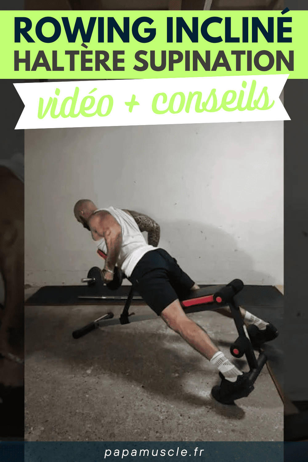 Rowing incliné haltère supination [VIDÉO] | Papa Muscle